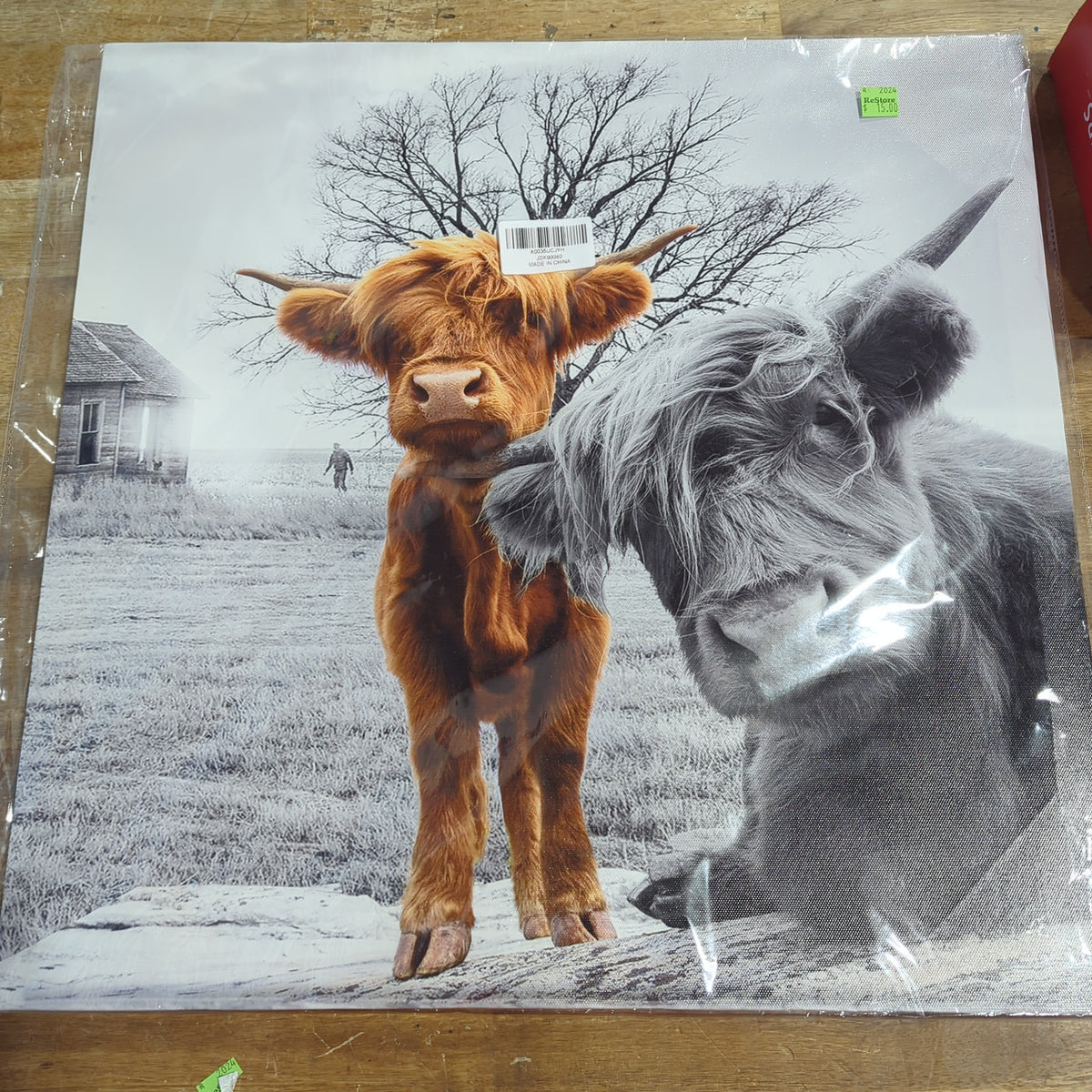 Highland cows canvas – Habitat for Humanity Greater Ottawa ReStore