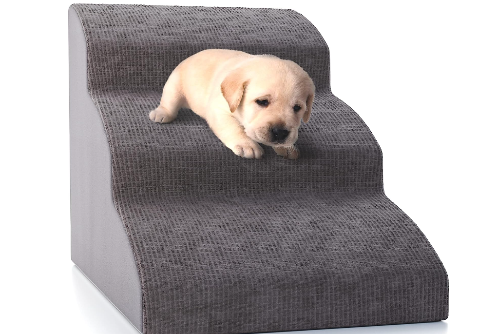 Foam Dog Stairs – Habitat for Humanity Greater Ottawa ReStore