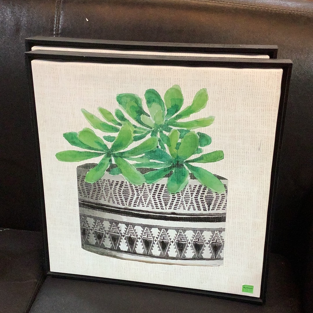 Succulent Canvas Painting – Habitat for Humanity Greater Ottawa ReStore