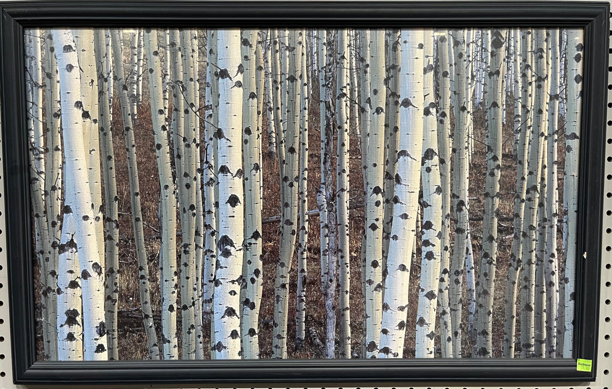 The Watchful Trees Artwork – Habitat for Humanity Greater Ottawa ReStore