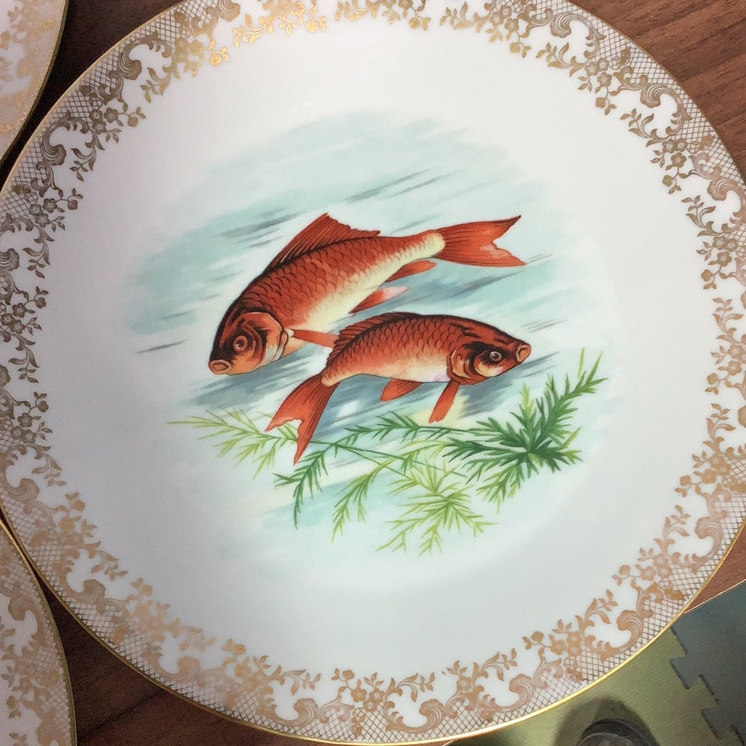 Fish Plates – Habitat for Humanity Greater Ottawa ReStore